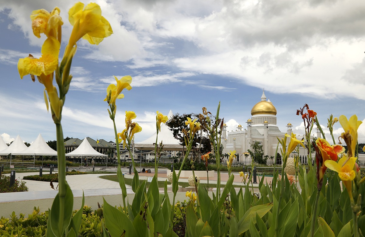 Sungai Kedayan Eco-Corridor: A piece of the BSB Masterplan comes to ...
