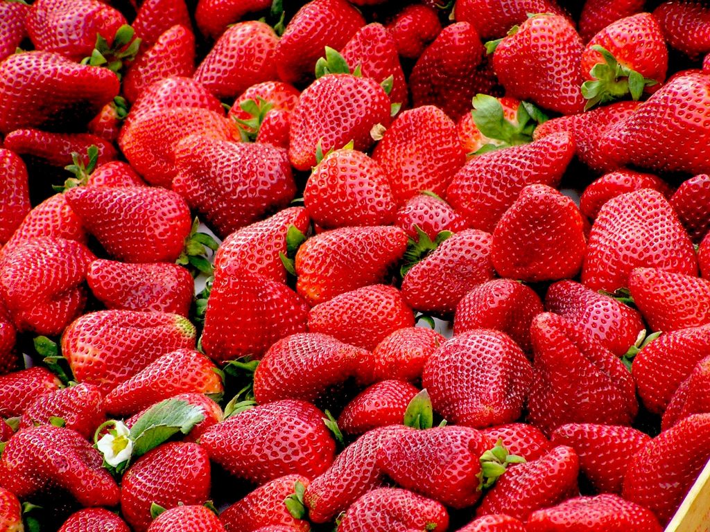 Australian strawberries safe to eat, says DAA - The Scoop