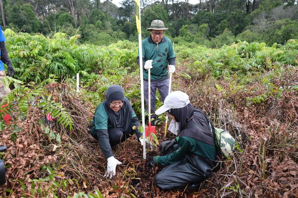 UBD conducts study on rehabilitation of Badas peat swamp forest - The Scoop